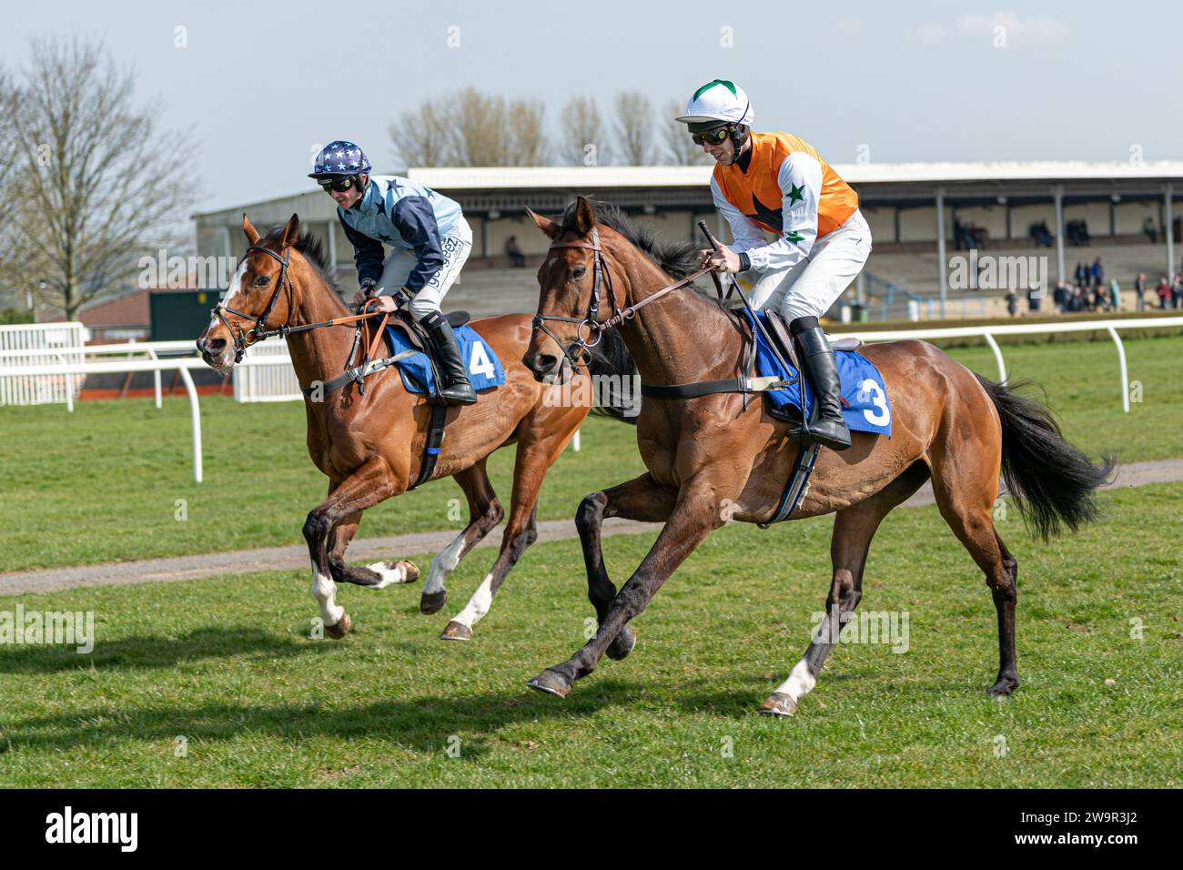 Two racehorses cantering hi-res stock photography and images - Alamy