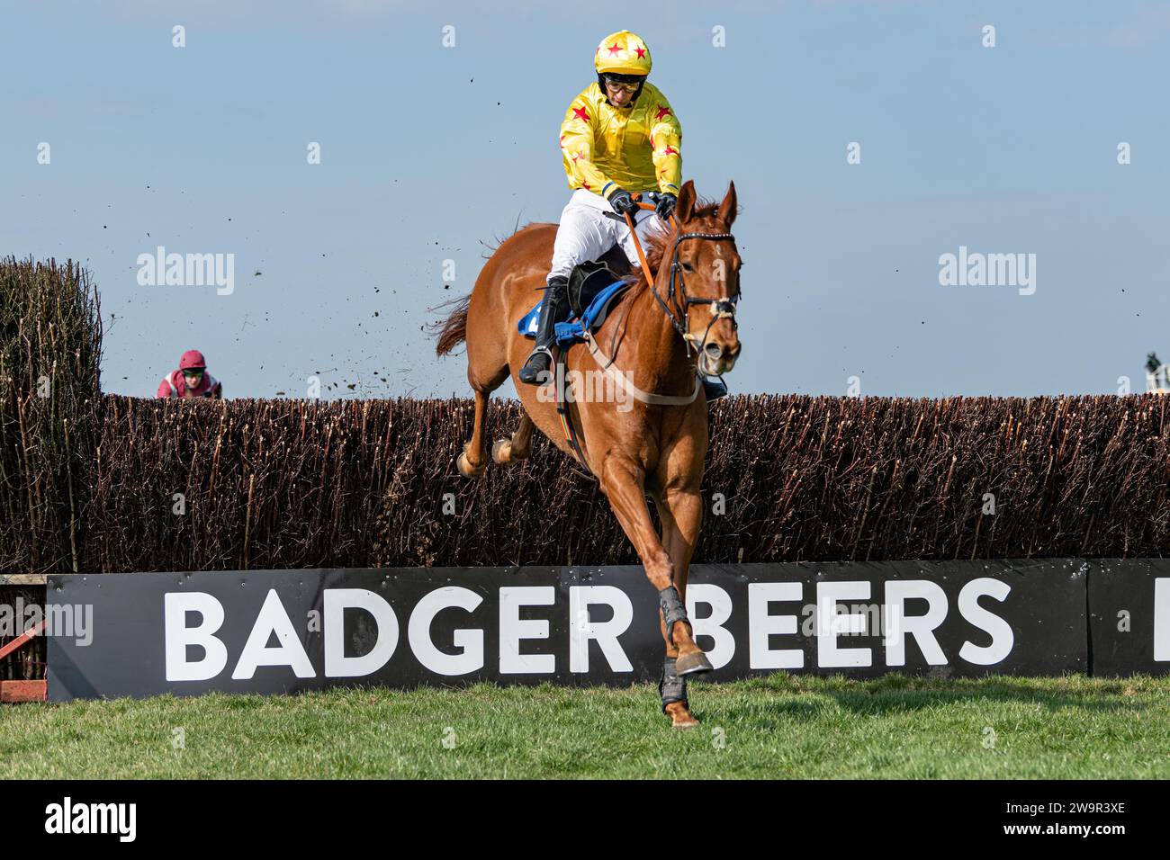 Forget You Not, winner at Wincanton under James Best for Jackie du ...