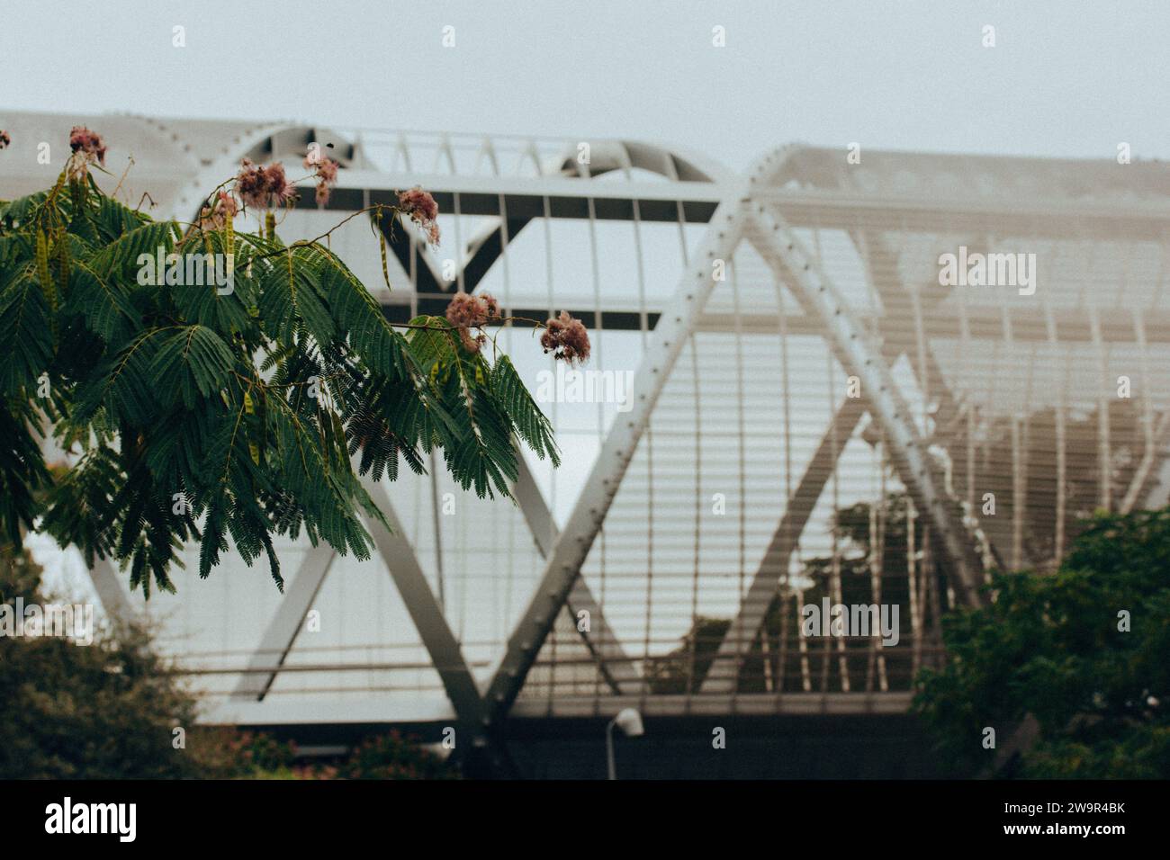 Modern overhead pedestrian tunnel metal air bridge exterior in city ...