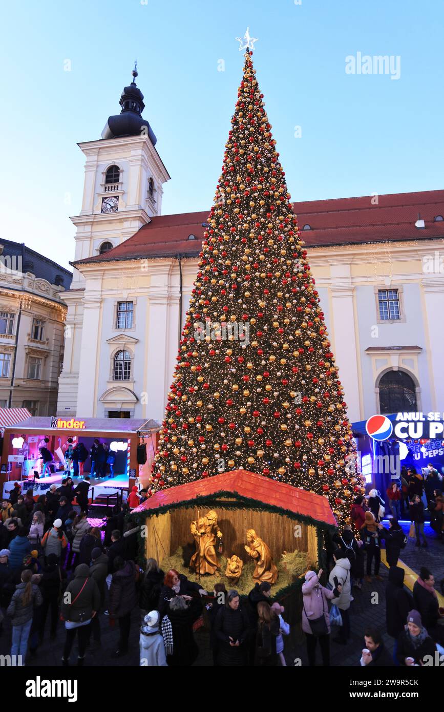 Christmas tree & crib on Piata Mare, the Big Square, in front of the RC ...