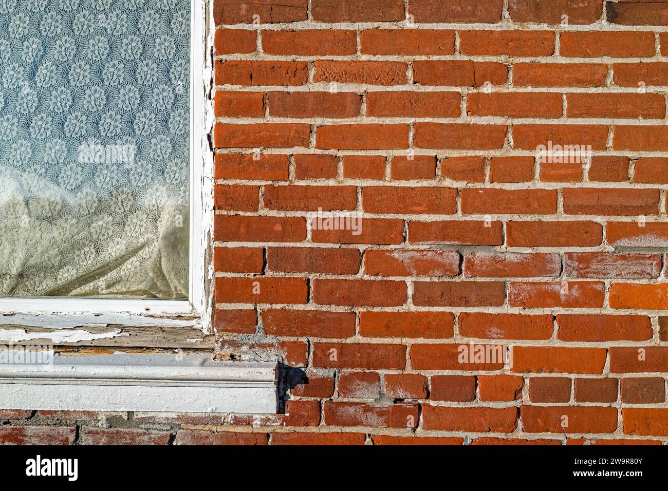 Section of a window with lace curtains on an exterior red brick wall of ...