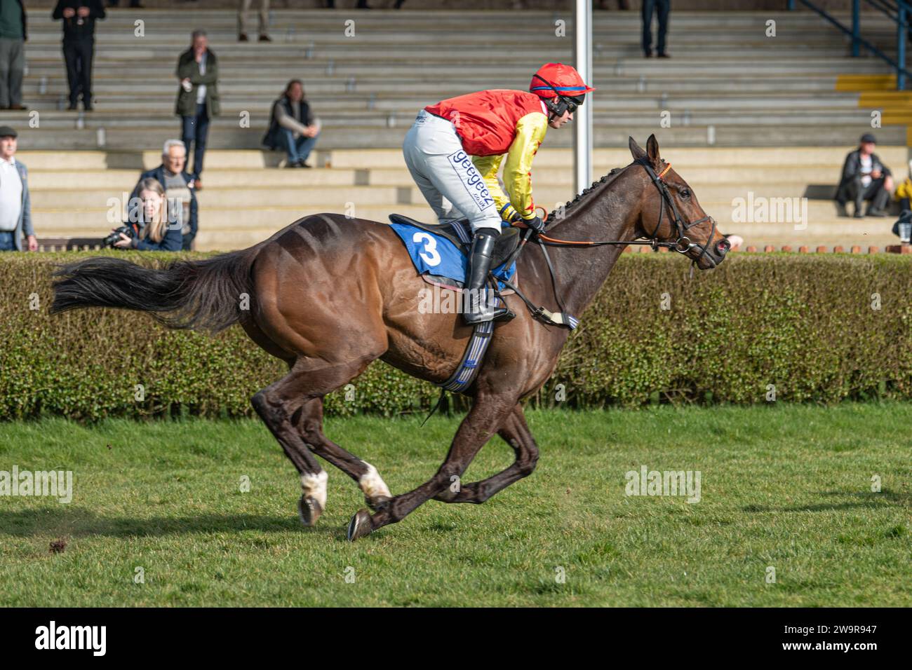 Ballyblack racing over hurdles at Wincanton, March 21st 2022. Ridden by ...
