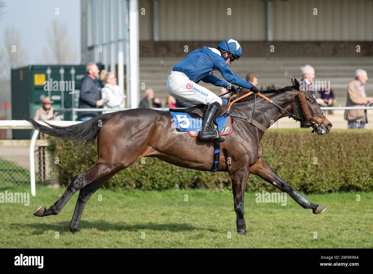 Photos of racehorse "Birds of Prey", ridden by Harry Cobden, trained by ...