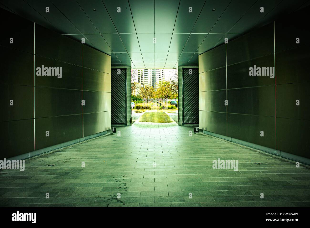 Large outdoor hallway space with ominous lighting and trees at the end ...