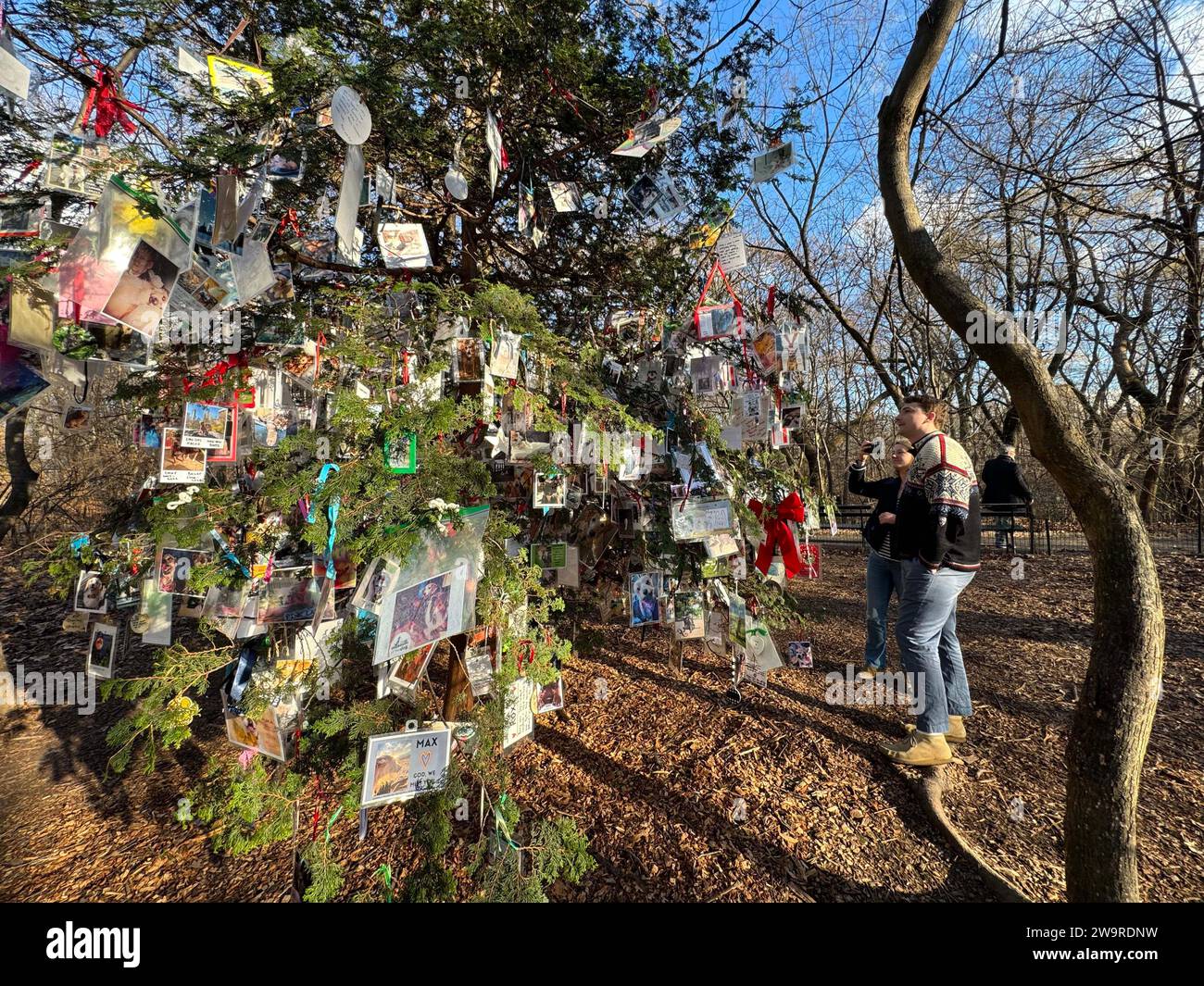 New York, New York, USA. 29th Dec, 2023. A view of the secret Pet ...