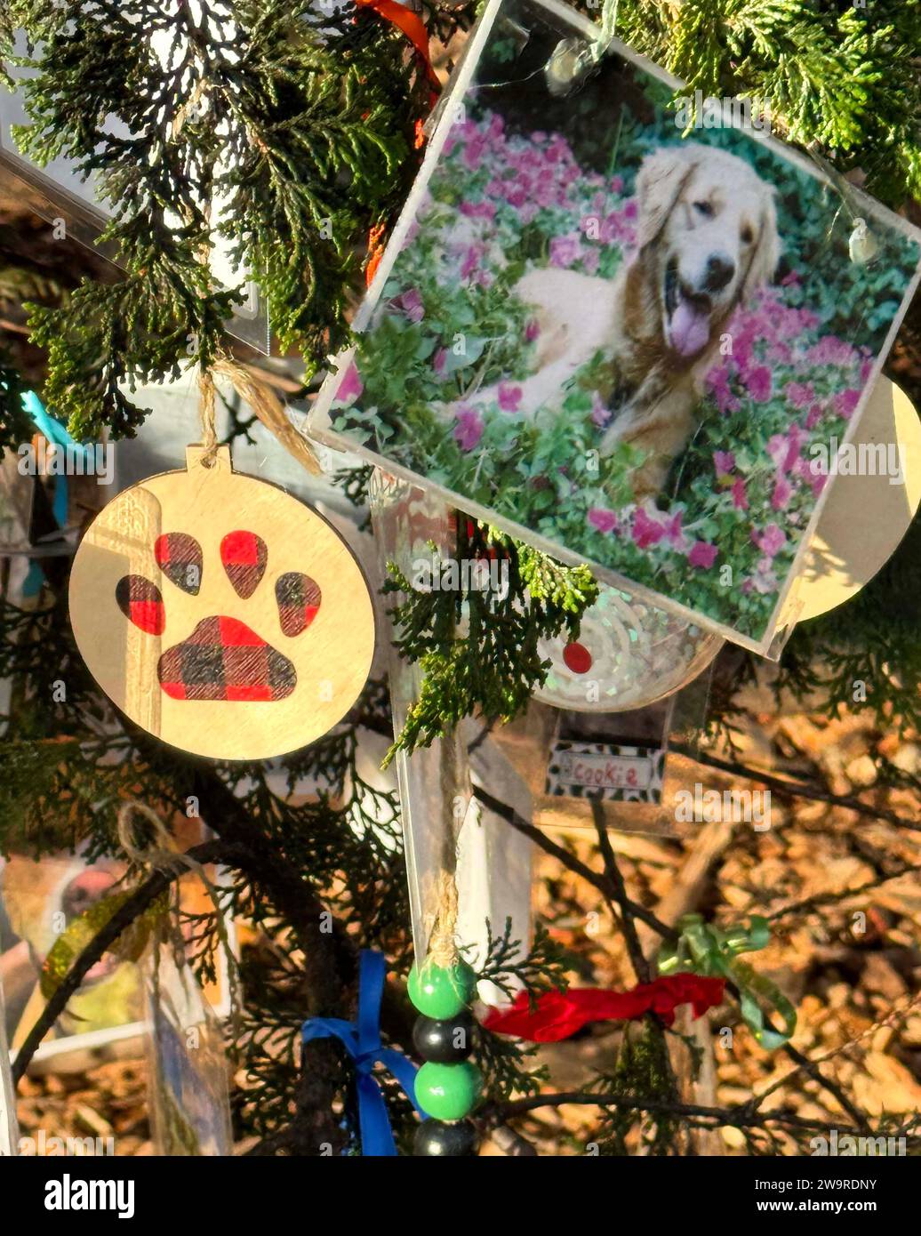 New York, New York, USA. 29th Dec, 2023. A detail view of the secret ...