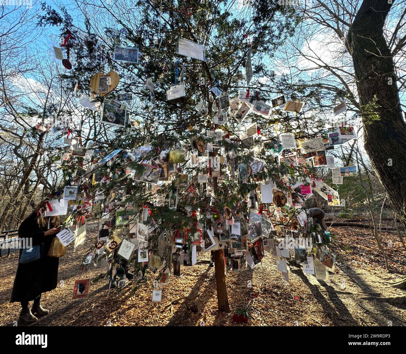 New York, New York, USA. 29th Dec, 2023. A view of the secret Pet ...