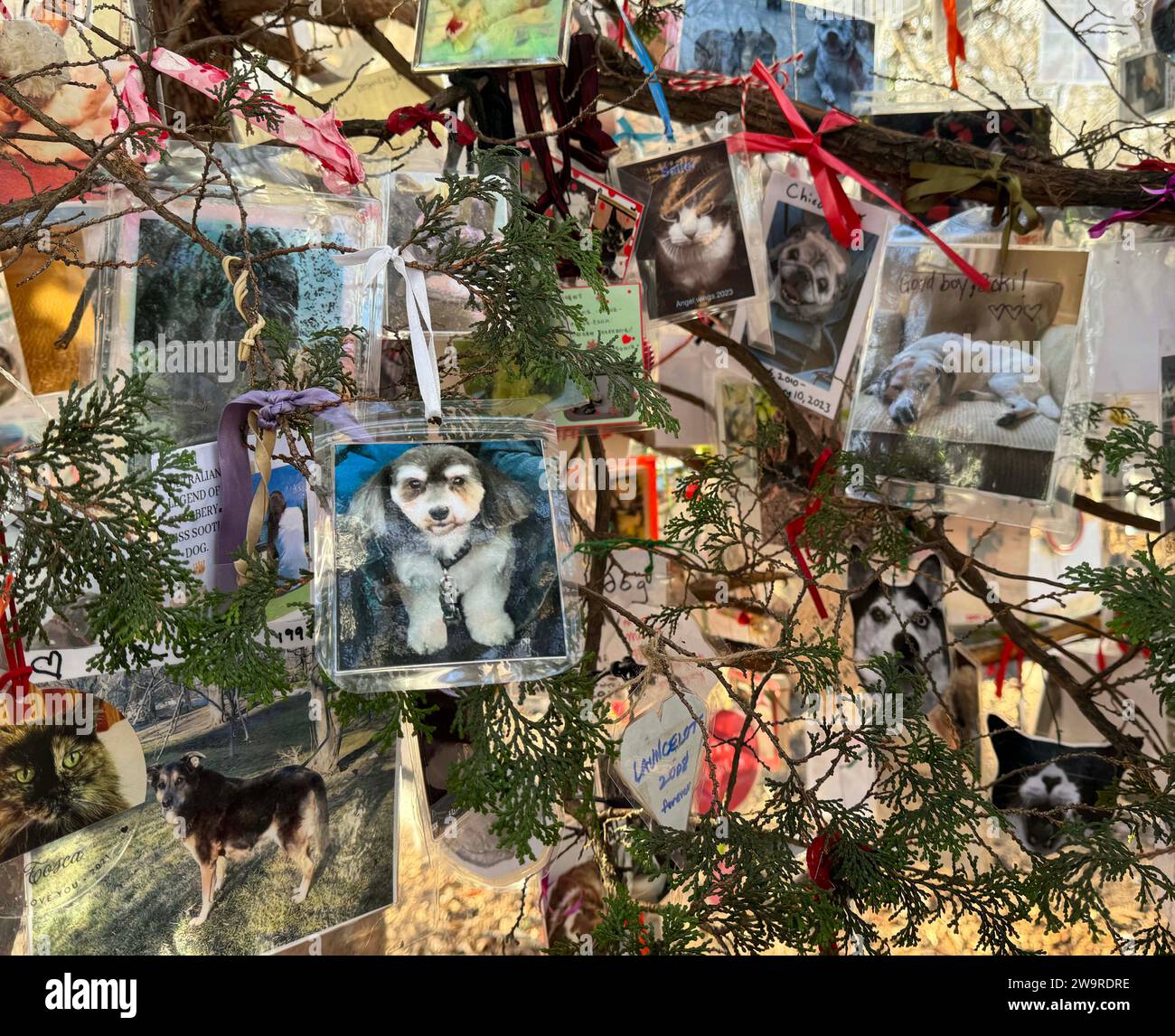 New York, New York, USA. 29th Dec, 2023. A view of the secret Pet ...