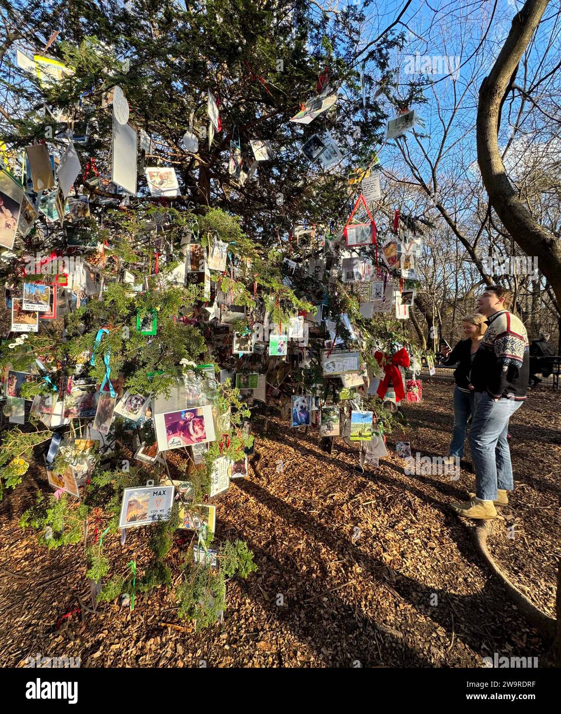 New York, New York, USA. 29th Dec, 2023. A view of the secret Pet ...