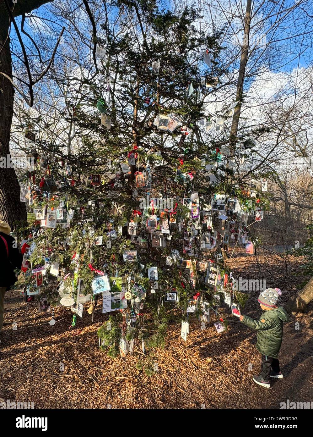 New York, New York, USA. 29th Dec, 2023. A view of the secret Pet ...