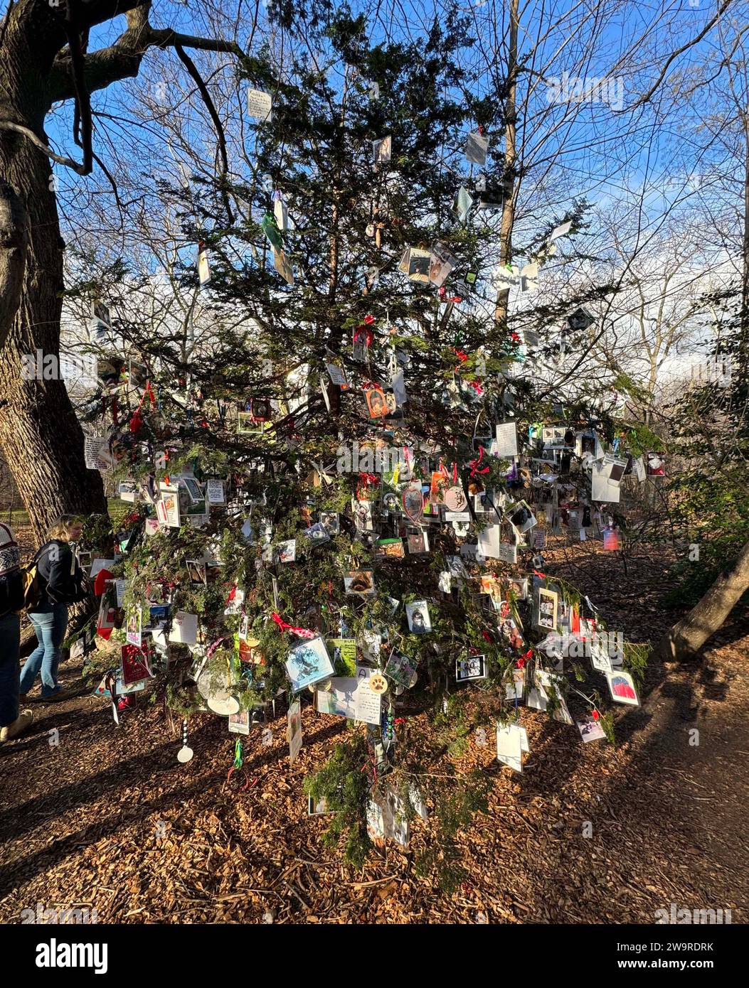 New York, New York, USA. 29th Dec, 2023. A view of the secret Pet ...