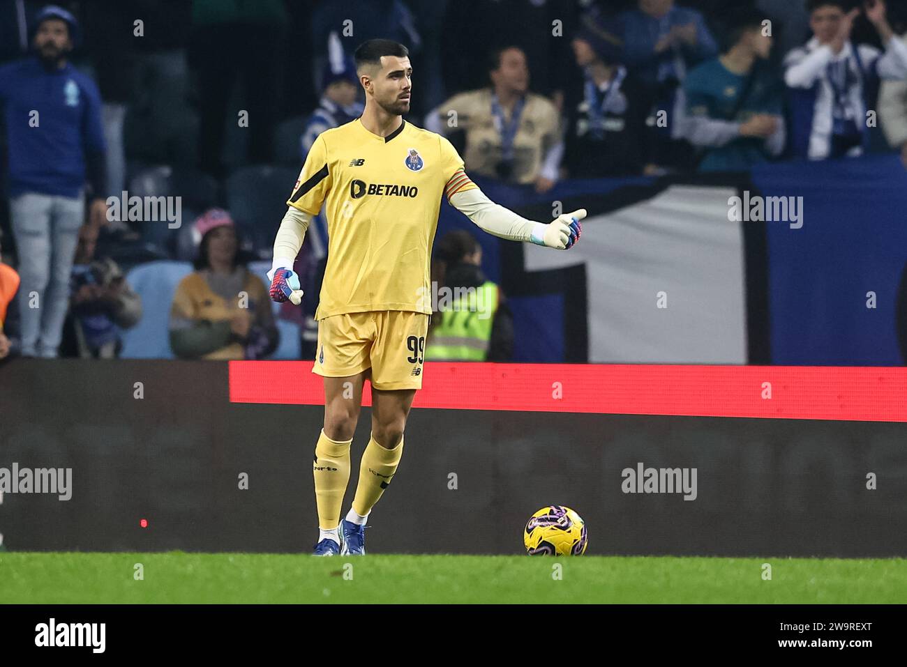 Yellow dragon stadium hi-res stock photography and images - Alamy