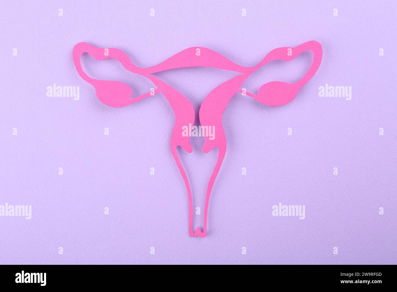 Reproductive medicine. Paper uterus on violet background, top view ...