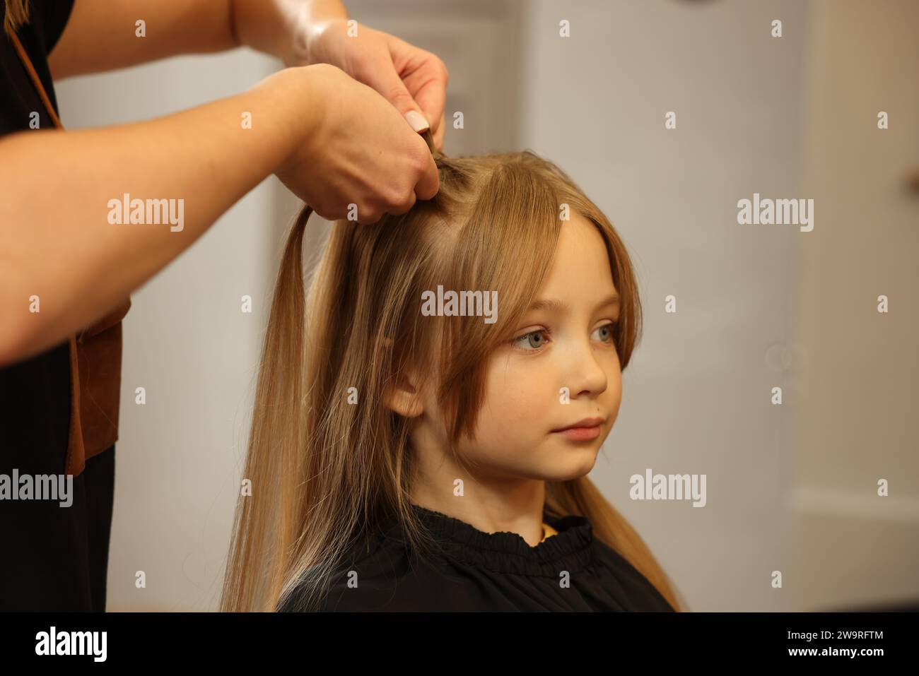 Professional hairdresser braiding girl's hair in beauty salon Stock ...