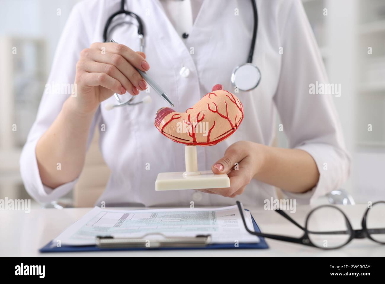 Gastroenterologist showing human stomach model at table in clinic ...
