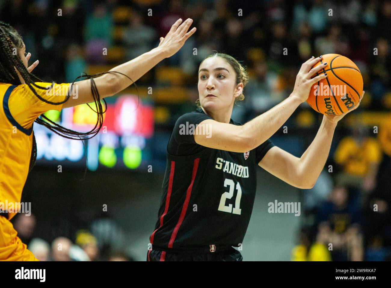 Berkeley, USA. 29th Dec, 2023. December 29 2023 Berkeley, CA U.S.A ...