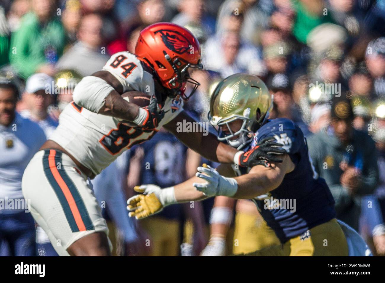El Paso, Texas, USA. 29th Dec, 2023. Oregon State Beavers tight end ...