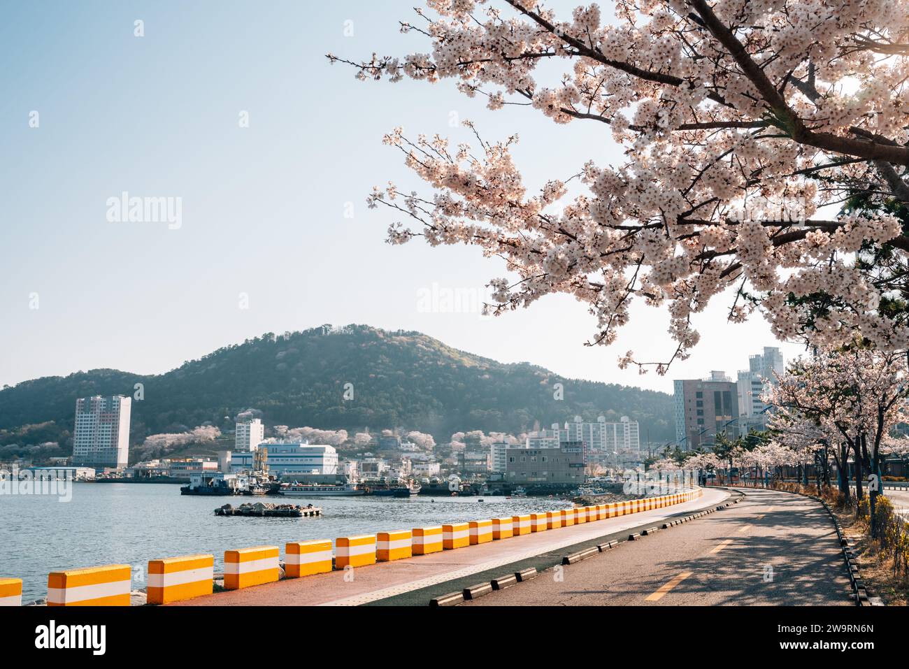 Changwon, Korea - April 4, 2022 : Jinhaeru beach park spring cherry ...