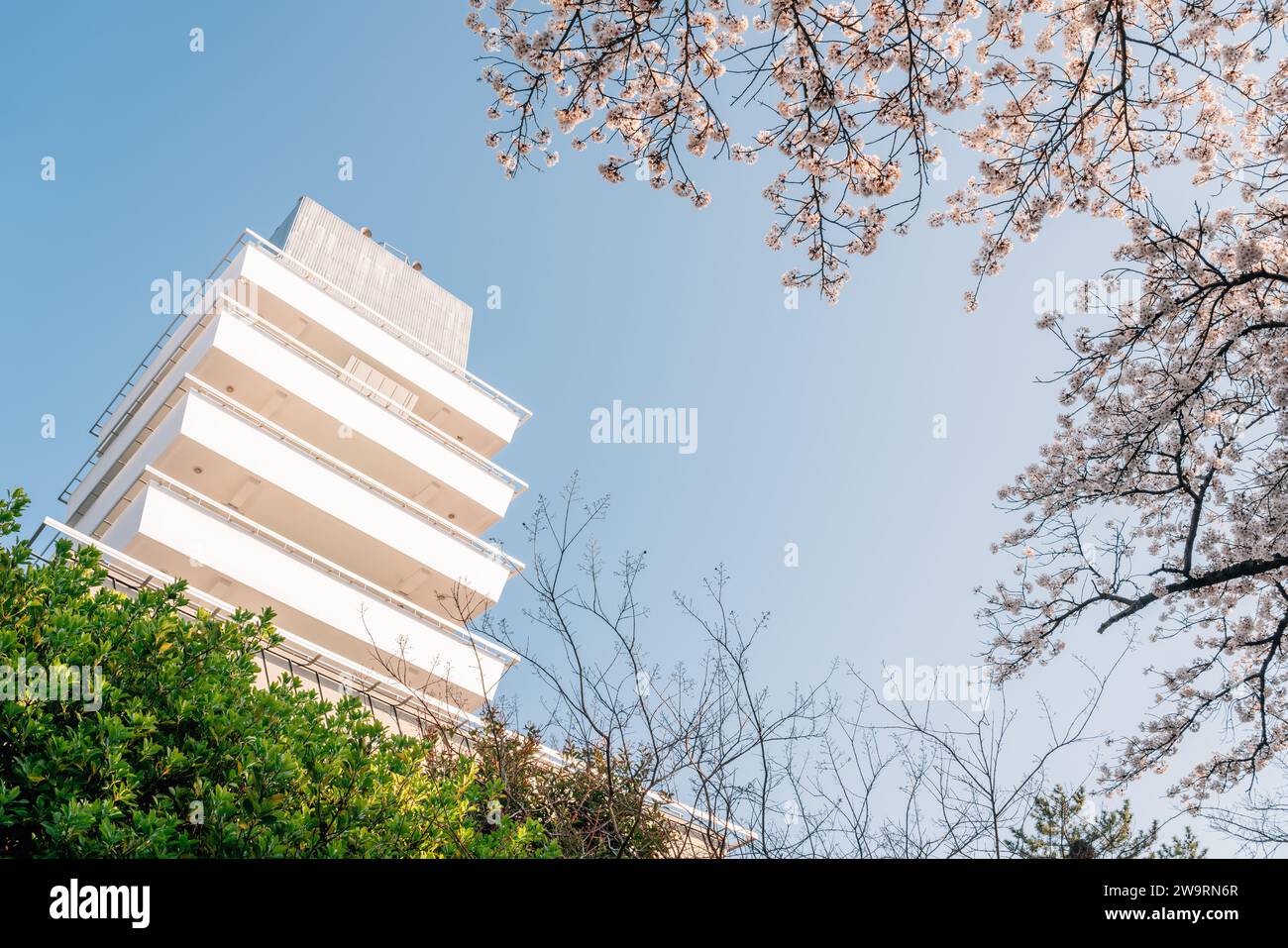 Changwon, Korea - April 4, 2022 : Spring Jehwangsan Park and Jinhae ...