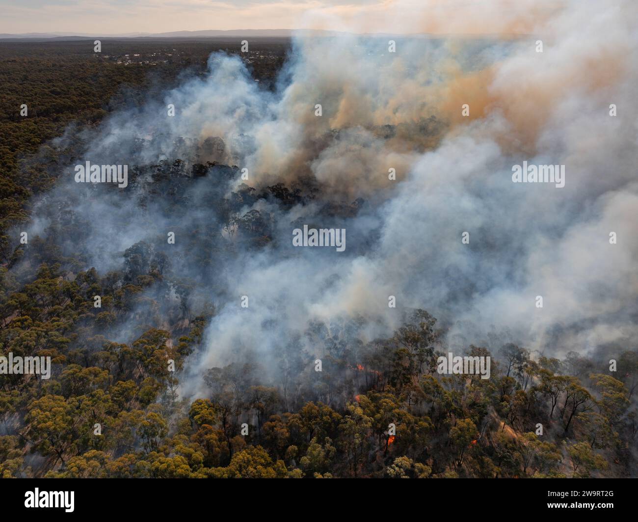Aerial view bushland australian hi-res stock photography and images - Alamy
