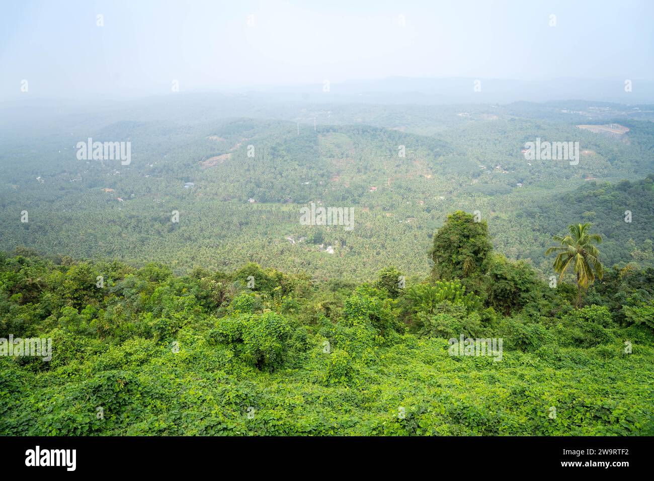 Kerala mountain landscape Stock Photo - Alamy