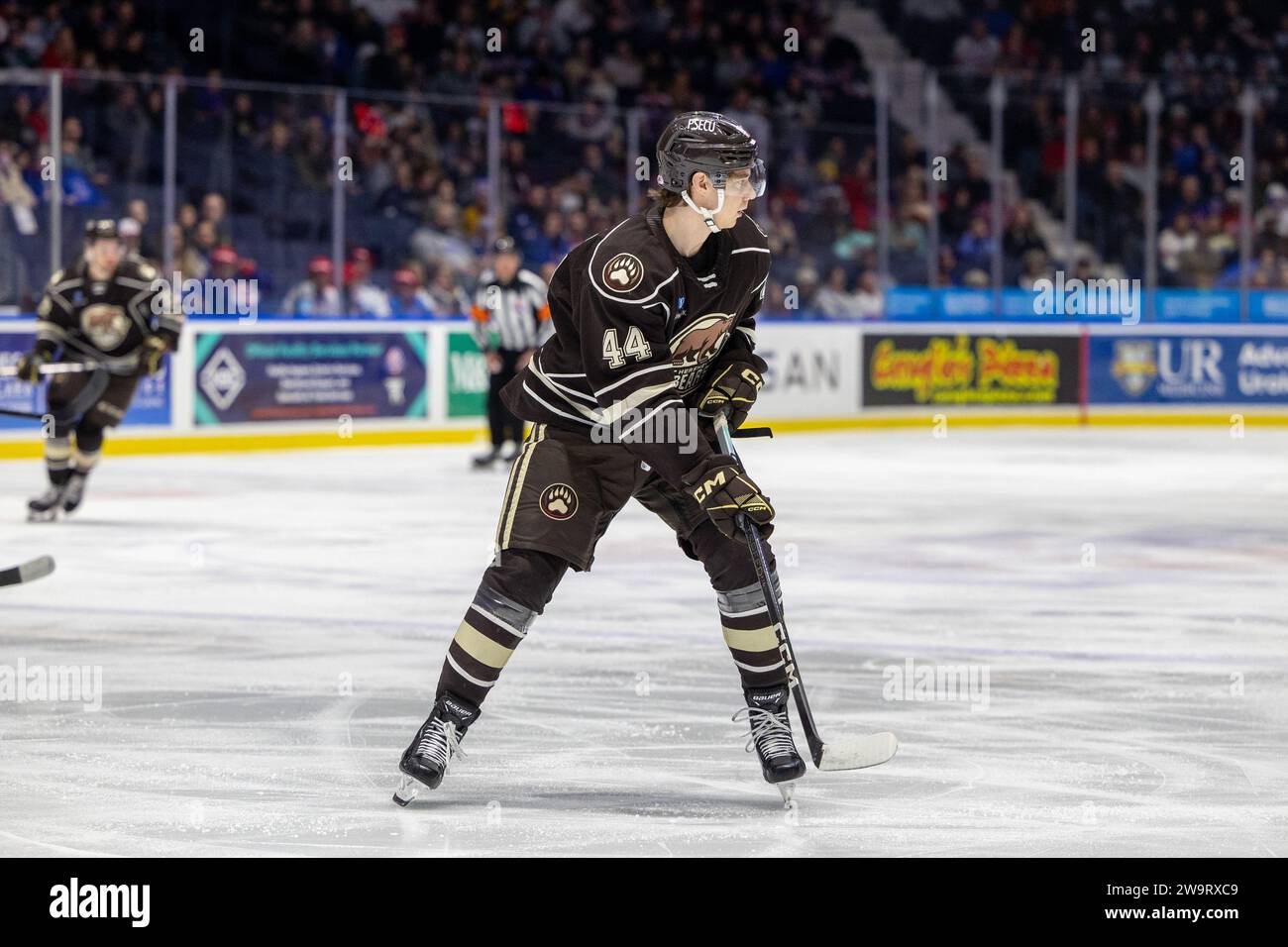 Rochester, New York, USA. 29th Dec, 2023. Hershey Bears forward Bogdan ...