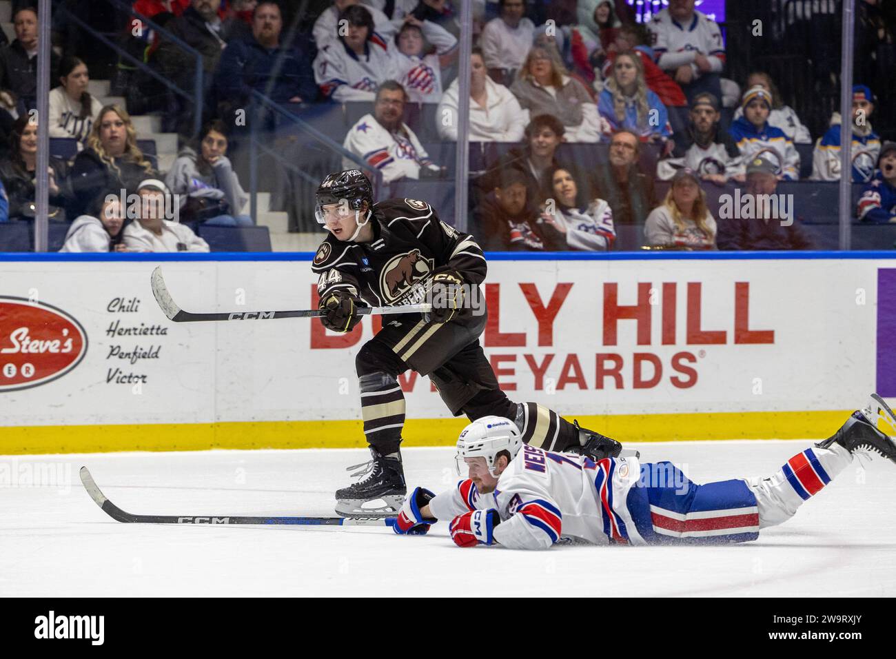 Rochester, New York, USA. 29th Dec, 2023. Hershey Bears forward Bogdan Trineyev (44) takes a ...