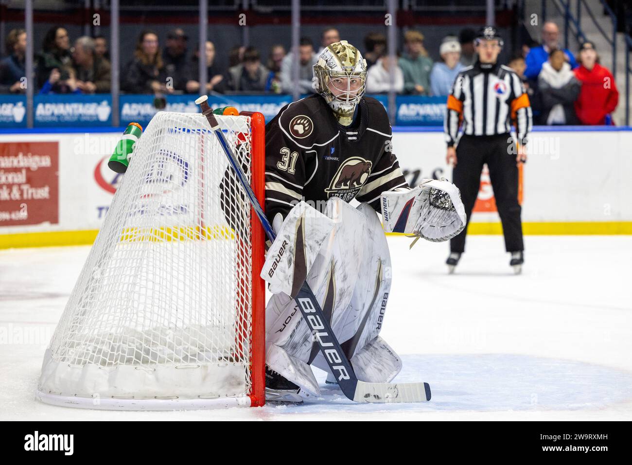 Rochester, New York, USA. 29th Dec, 2023. Hershey Bears goaltender Clay ...