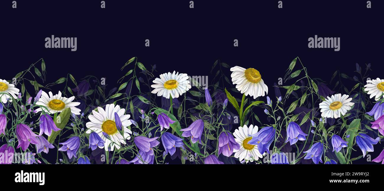 Floral seamless horizontal border with campanula, daisy. wild oats ...