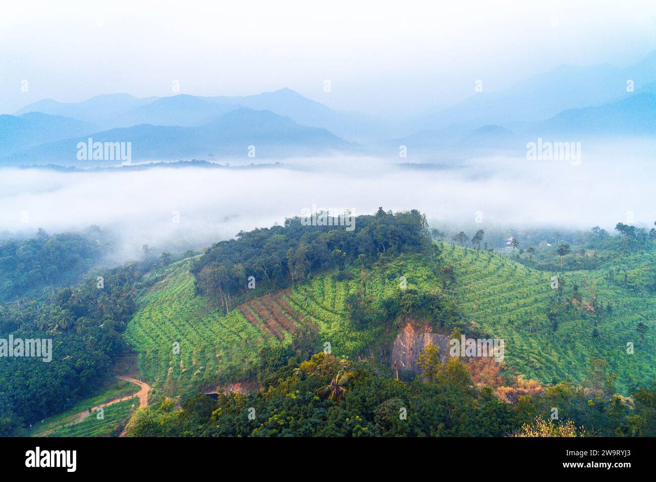 Kerala mountain landscape Stock Photo - Alamy