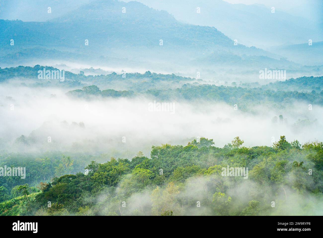 Kerala mountain landscape Stock Photo - Alamy