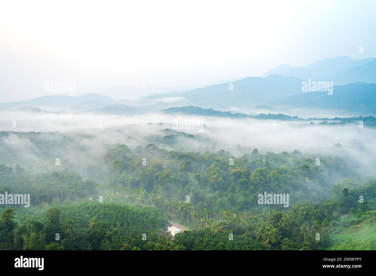 Kerala environment hi-res stock photography and images - Alamy
