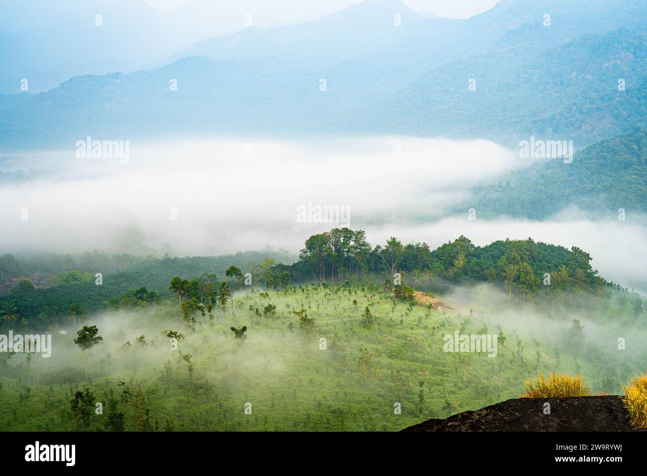 Kerala mountain landscape Stock Photo - Alamy