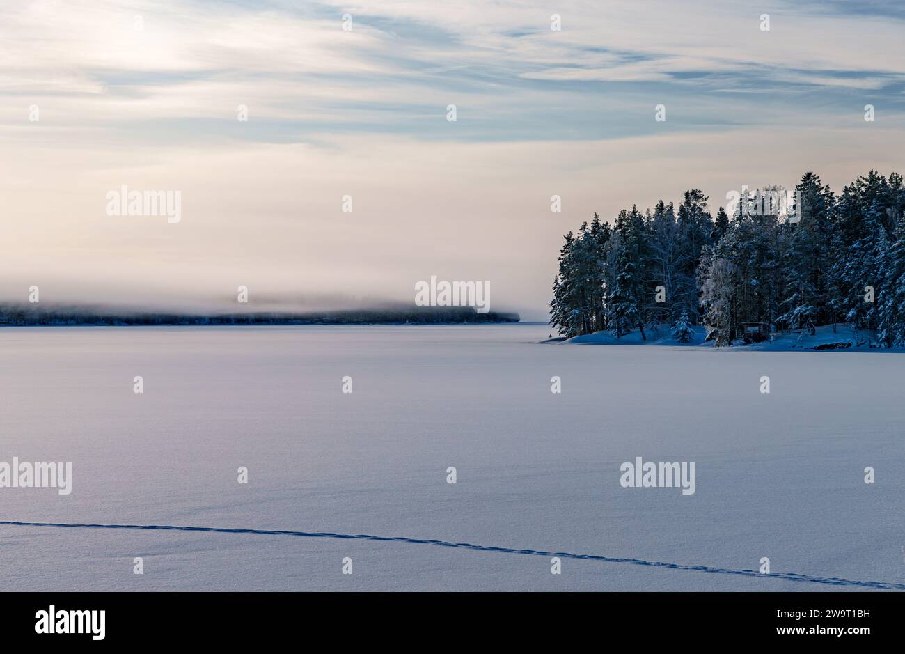 Swedish winter scene with ice, snow and parts of a lake and birch trees ...