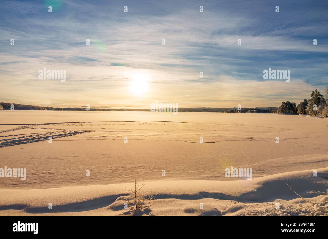 Swedish winter scene with ice, snow and parts of a lake and birch trees ...
