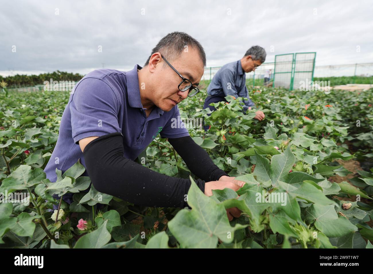 Sanya, China's Hainan Province. 29th Dec, 2023. Researchers conduct ...