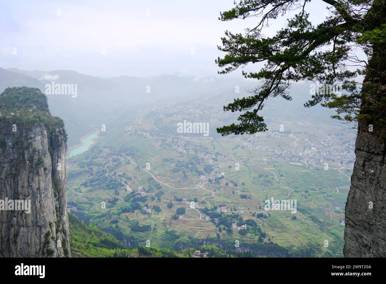The "Welcoming Pine" on the mountain wall is the highlight of the ...
