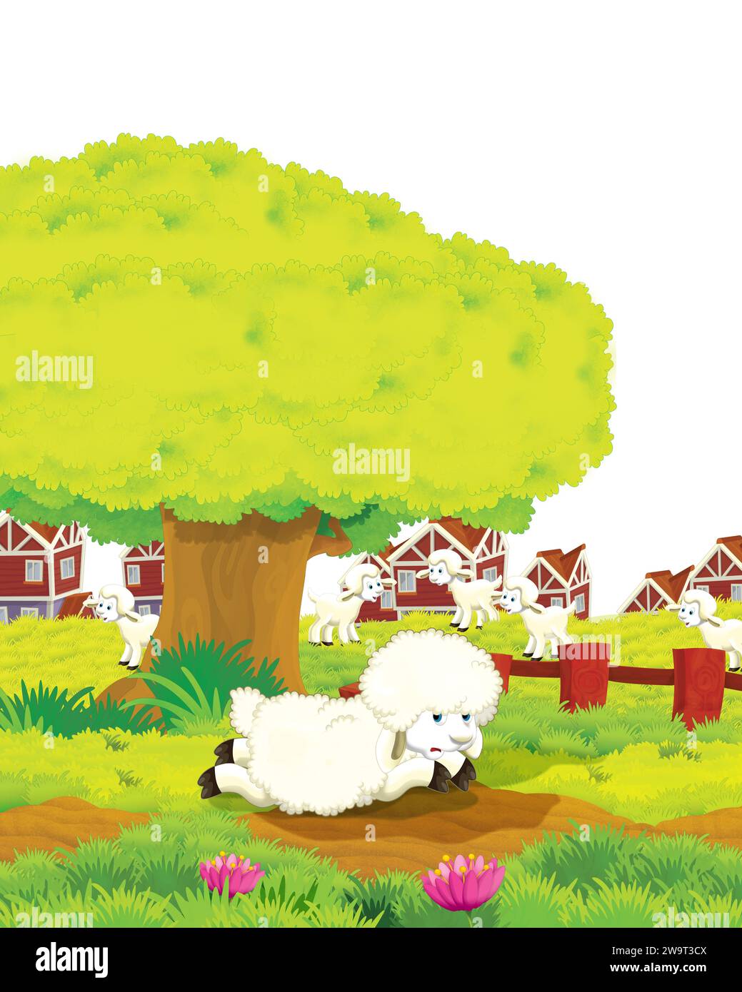 cartoon scene with sheep having fun on the farm on white background ...