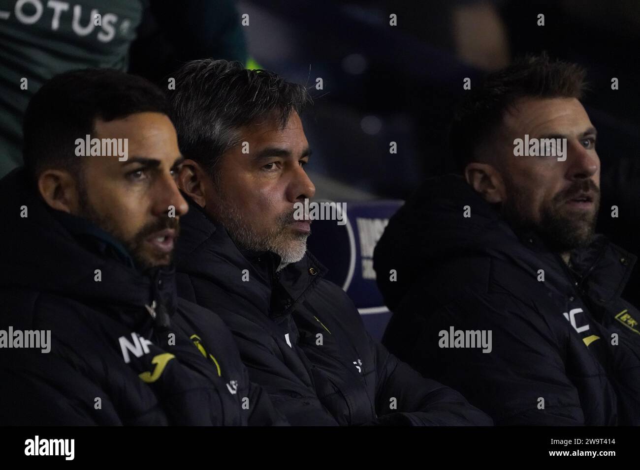 LONDON, ENGLAND - DECEMBER 29: David Wagner, Manager of Norwich City ...