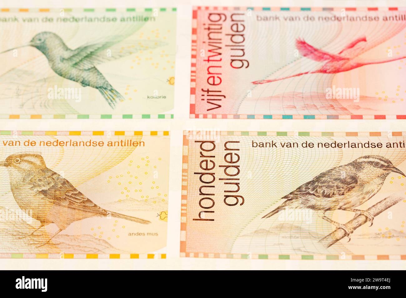 Netherlands Antillean money - guilder a business background Stock Photo ...