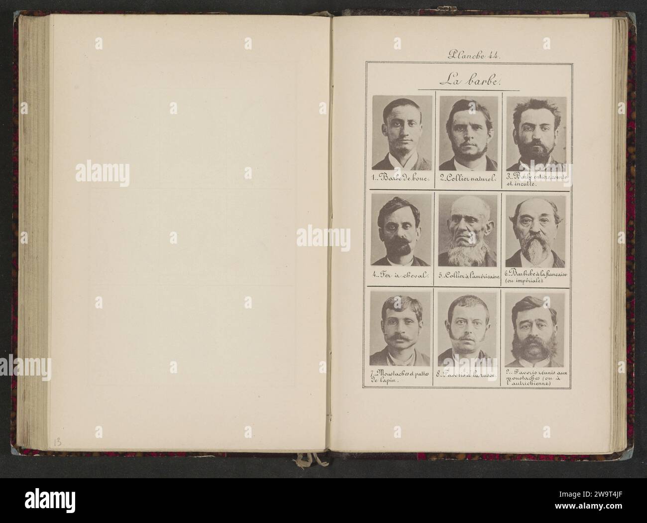 Nine male heads in front view, arranged on their beard, c. 1880 - in or ...