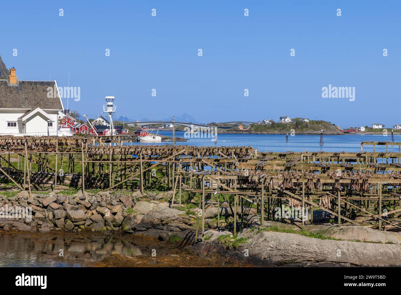 Clear skies grace the traditional cod drying racks in Reine, Moskenesoy ...