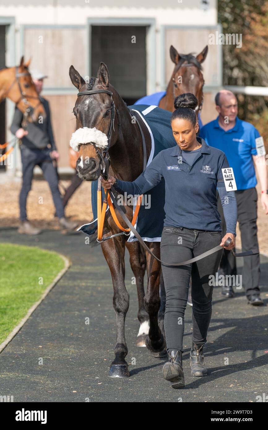 Blakey Bear running at Wincanton under Jockey James Best, trained by ...
