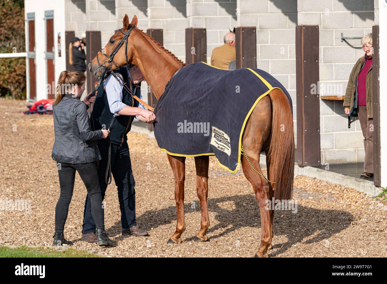Jeremy scott trained phoenix risen heads to the start hi-res stock ...