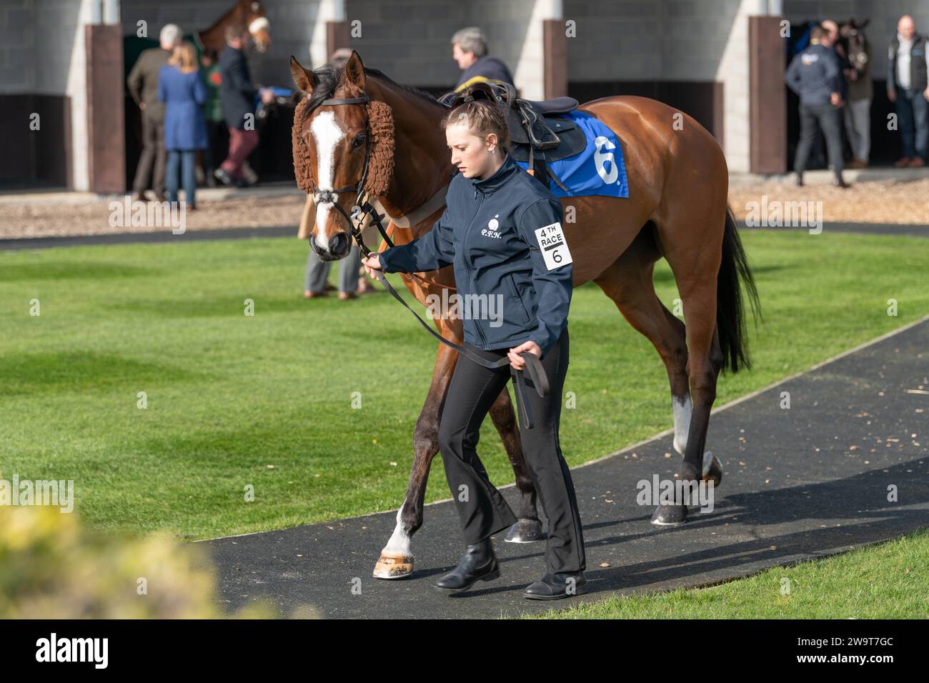Huflower in the pre-parade ring Stock Photo - Alamy