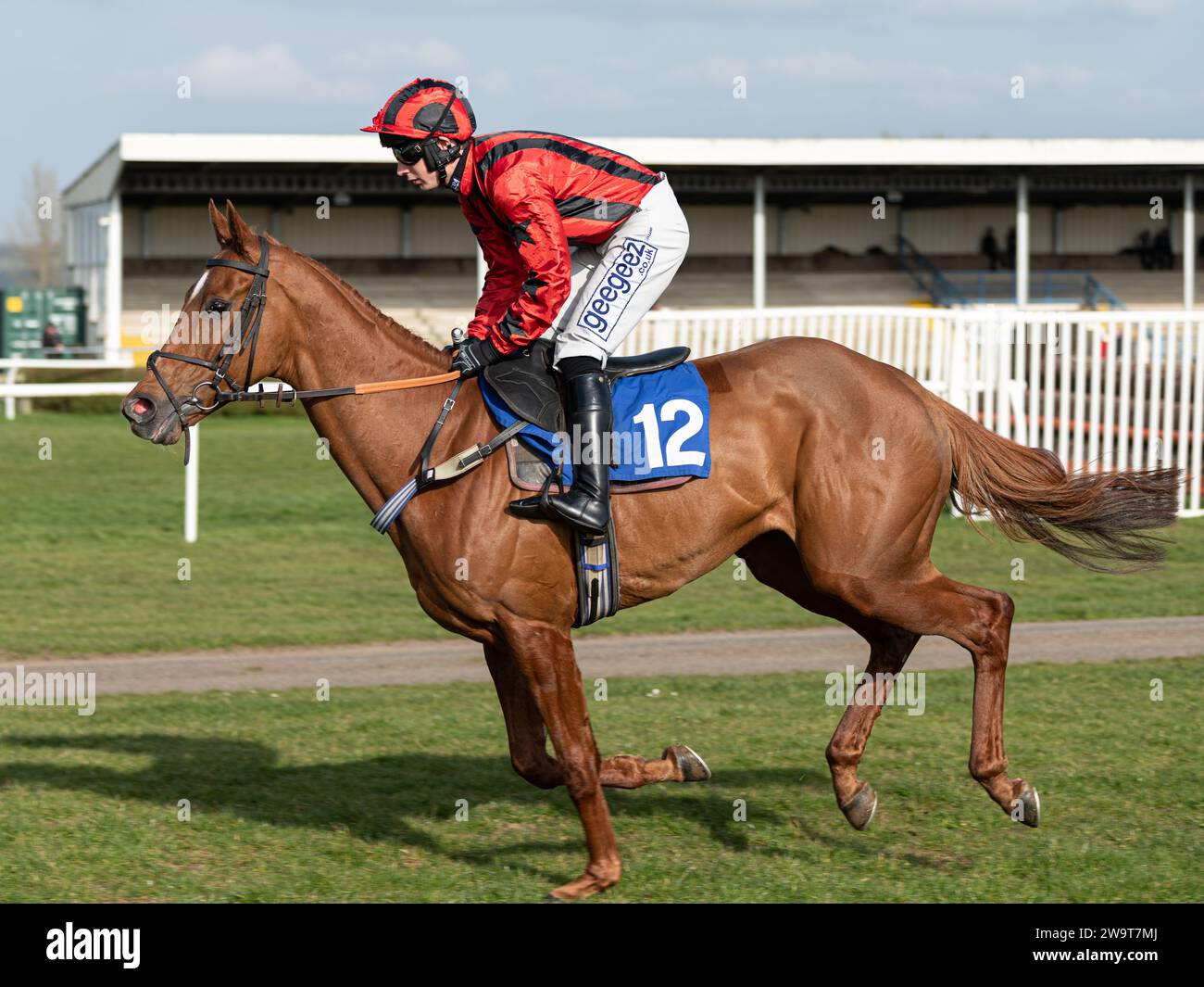 Rex dingle and phoenix risen hi-res stock photography and images - Alamy