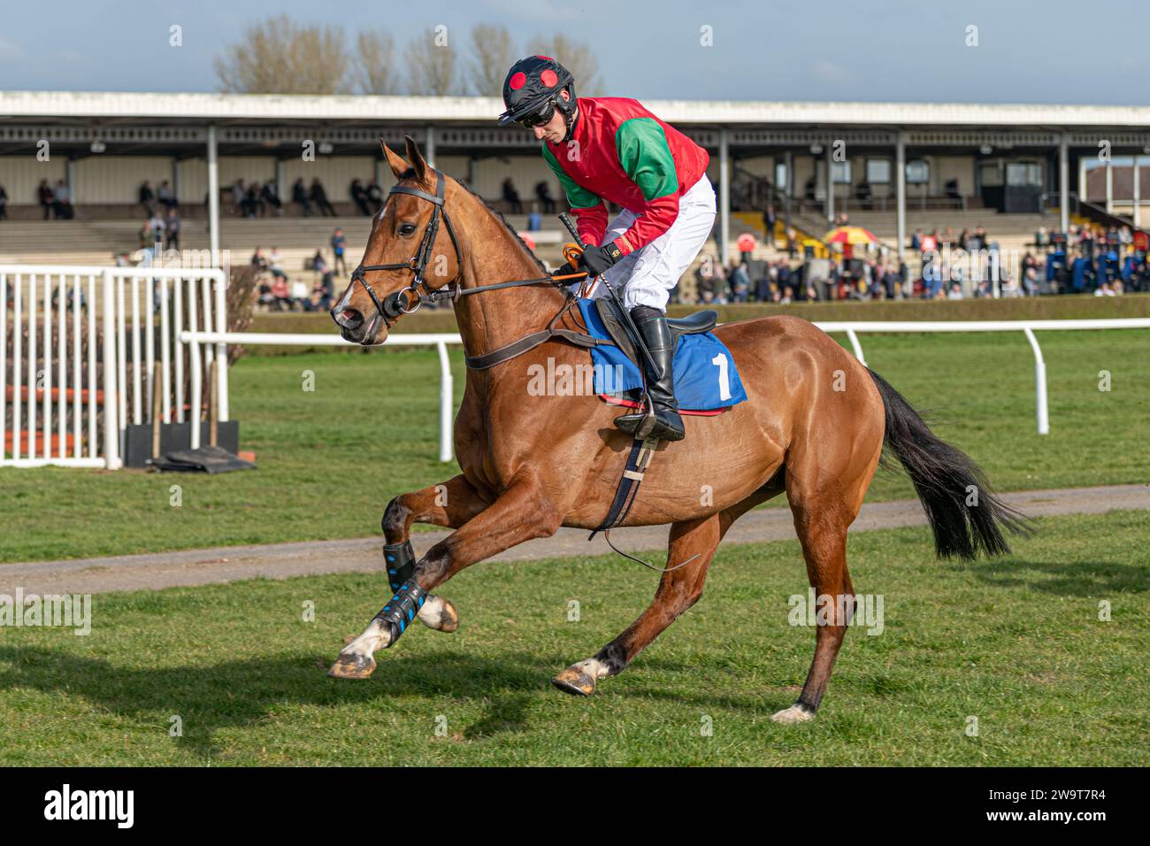 Bally Dun, ridden by Peter Summers and trained by Ryan Chapman, running ...