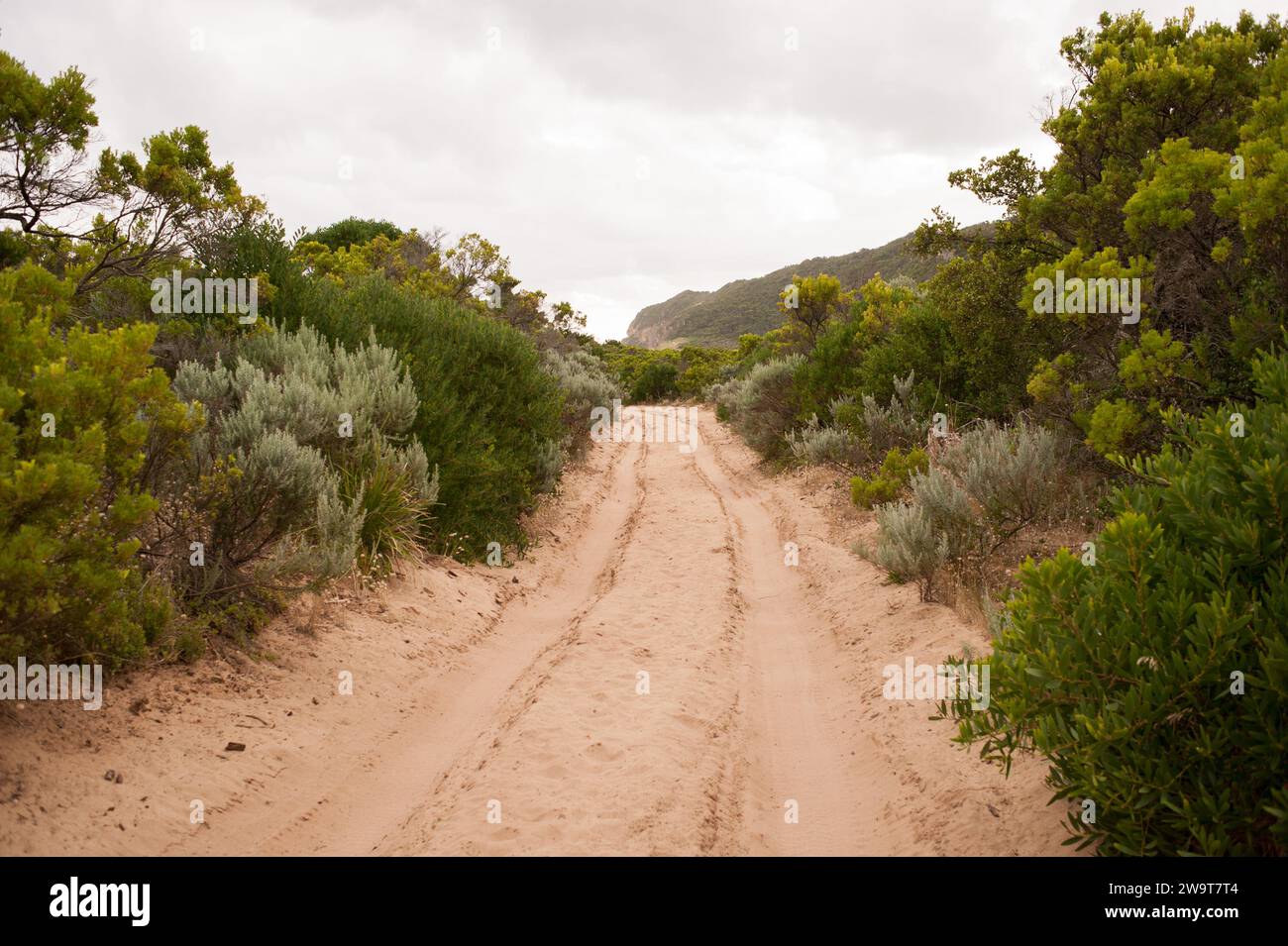 4x4 only sand track to the beach from Aire River Campground in the ...