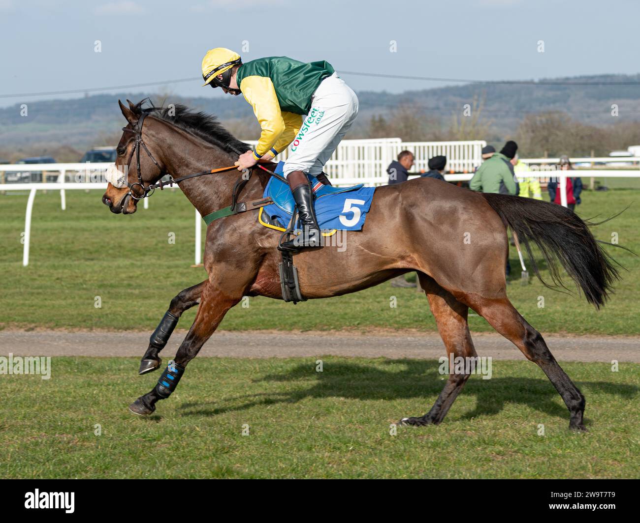 Crosspoint, owned and bred by Caroline Hobbs, trained by Dr Jeremy ...