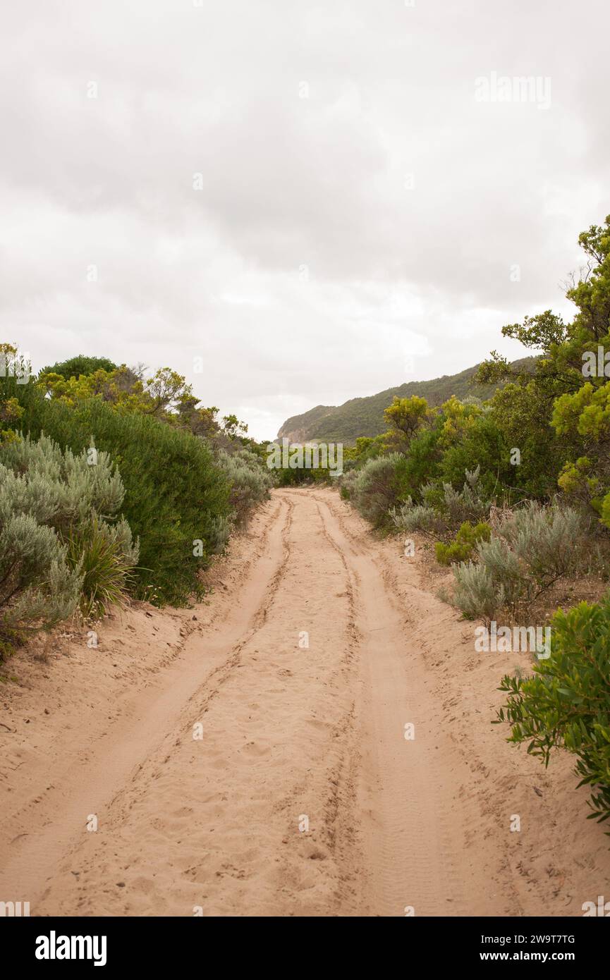 4x4 only sand track to the beach from Aire River Campground in the ...